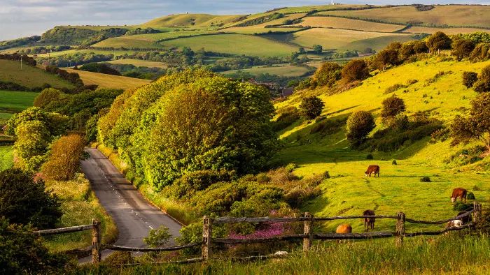 DEATH OF A HEDGEROW – Poems by Gwen Grant