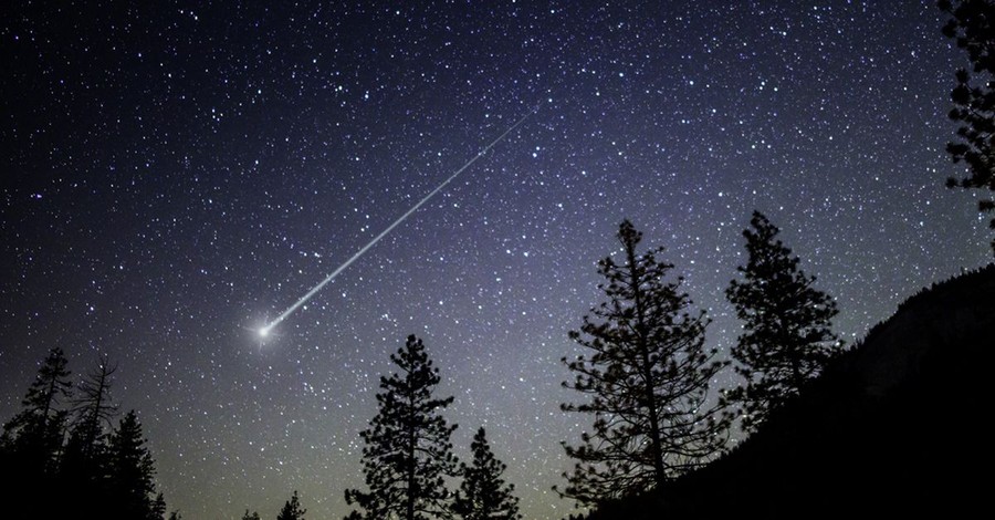 FALLING STARS – Poems by Gwen Grant