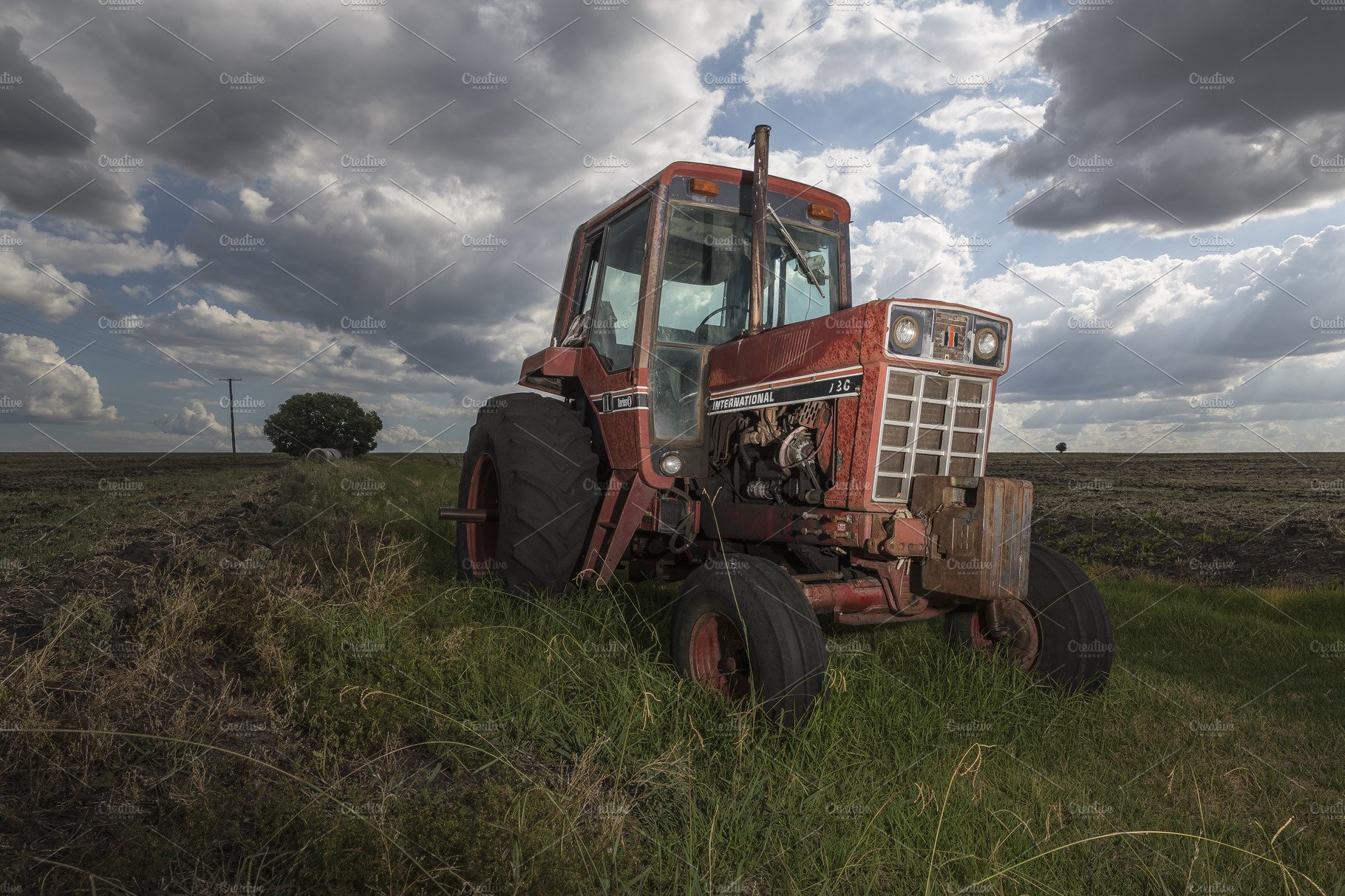 PEA PODS AND PROMISES – Poems by Gwen Grant